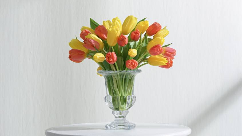 Why You Should Order Exotic Flowers In Delhi - Fiorella